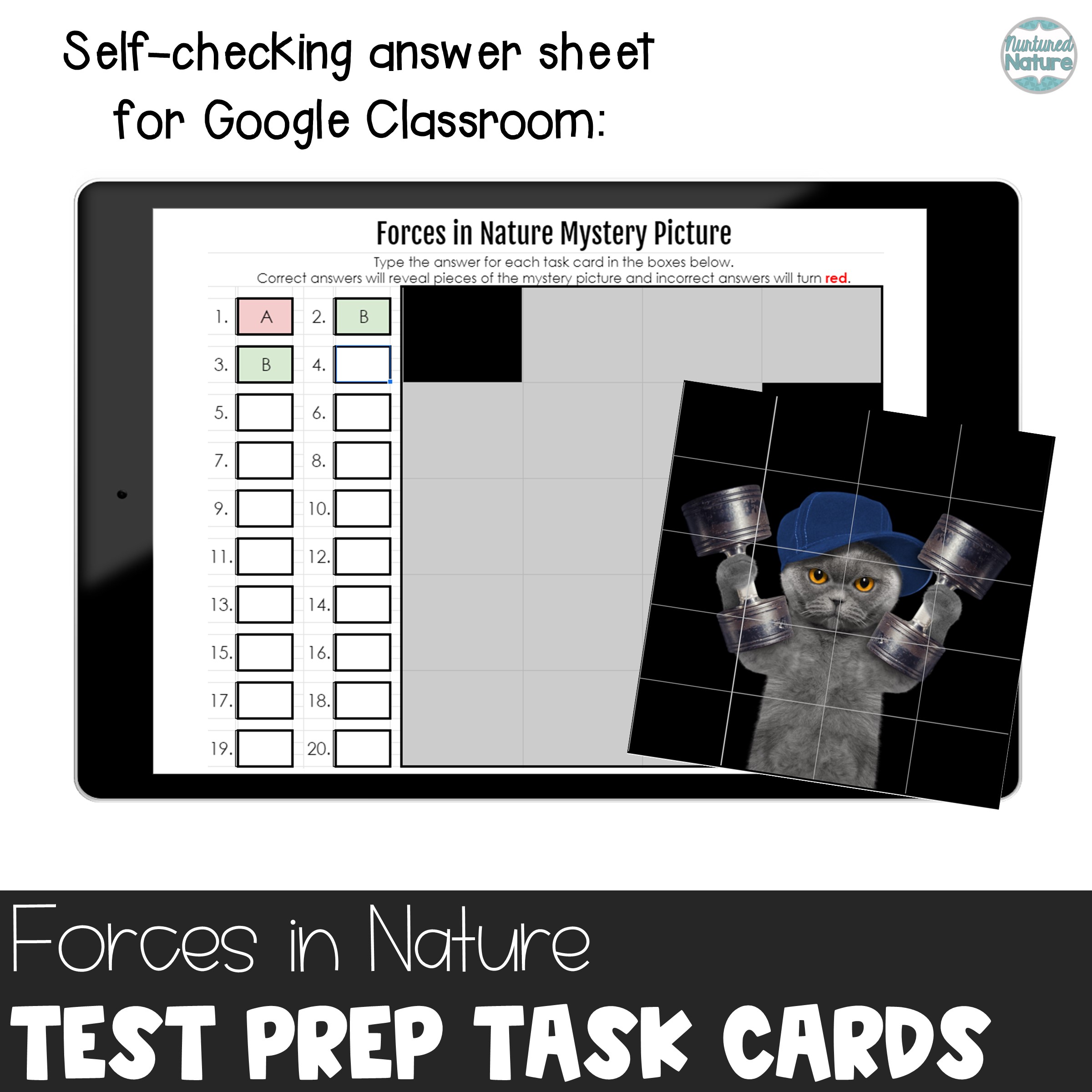 Gravity - Science Review Test Prep Task Cards – Digital and Print ...