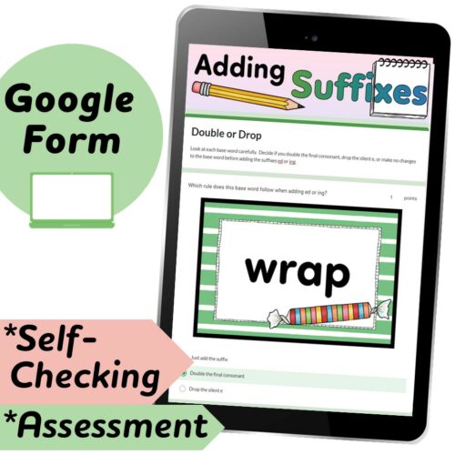 Spelling Changes when Adding Suffixes ed, ing, er, est, s, es Big ...