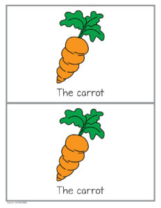 Alphabet Letter C Emergent Reader Set | Made By Teachers