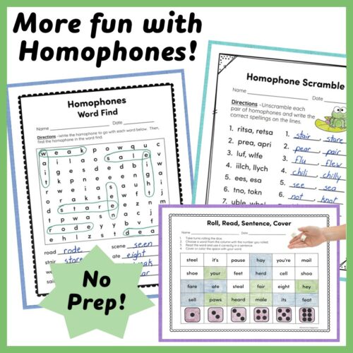Homophone Worksheets, Literacy Centers, and Spelling Activities Print ...
