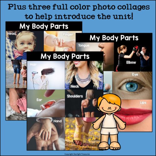 My Body Parts Mini Book for Early Readers | Made By Teachers