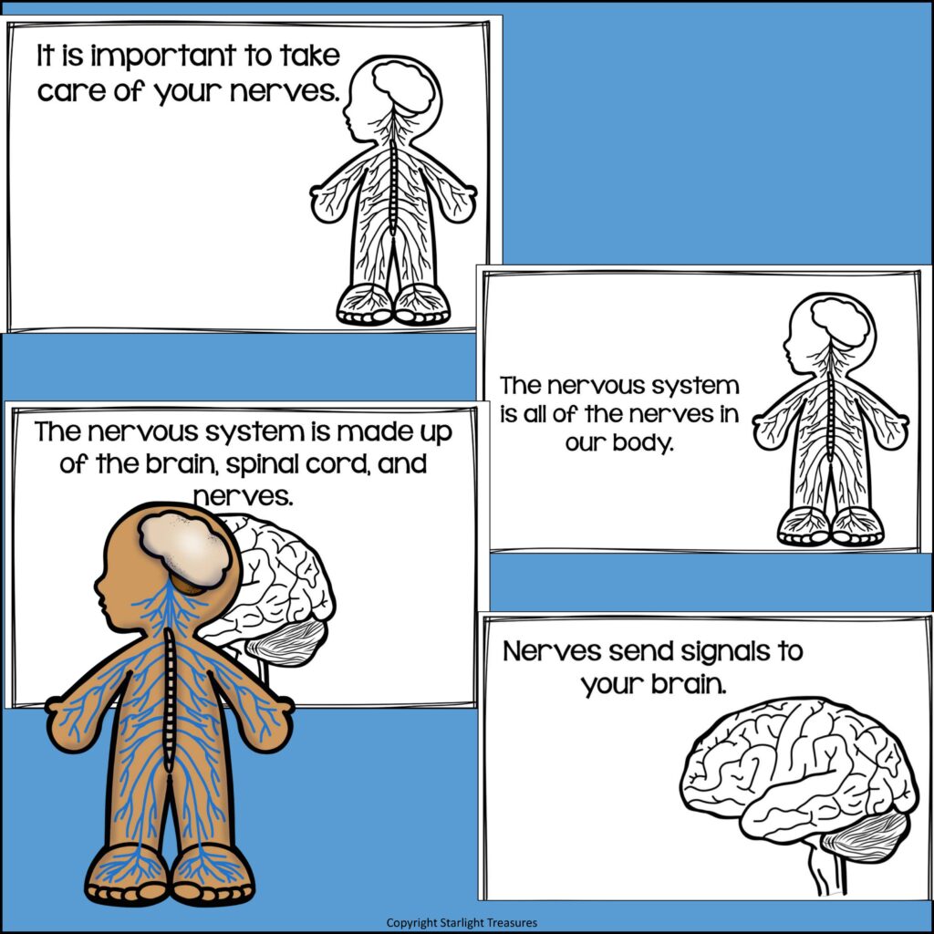 Human Body Systems: Nervous System Mini Book for Early Readers | Made ...