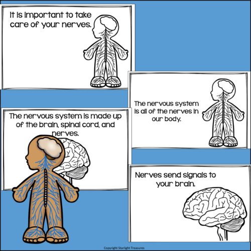 Human Body Systems: Nervous System Mini Book for Early Readers | Made ...