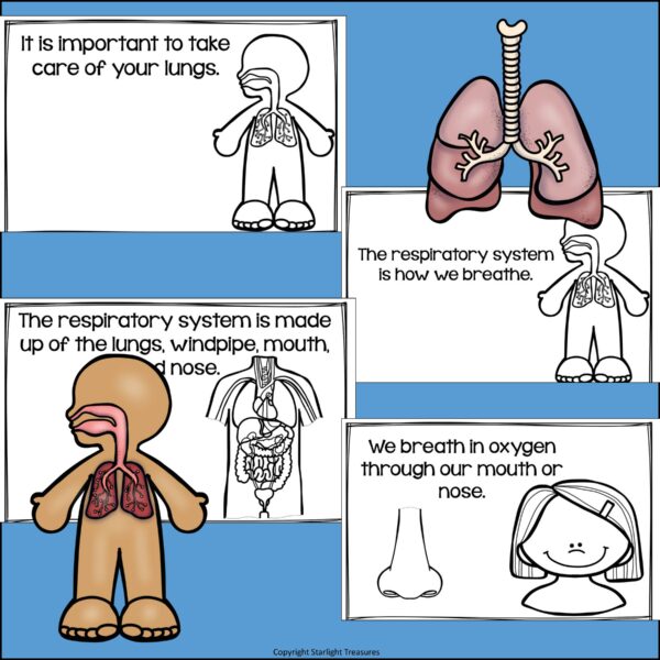 Human Body Systems: Respiratory System Mini Book for Early Readers ...