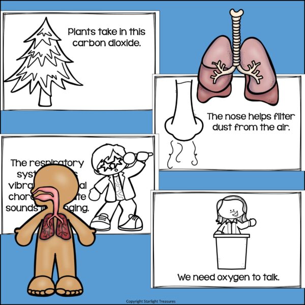 Human Body Systems: Respiratory System Mini Book for Early Readers ...