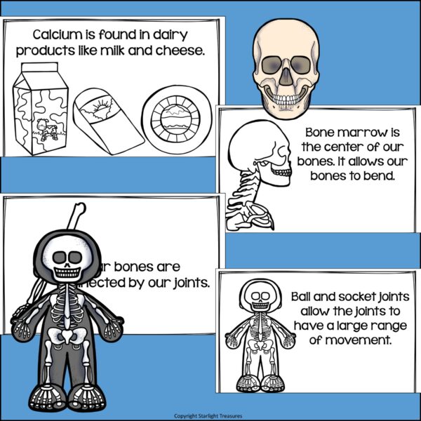 Human Body Systems: Skeletal System Mini Book for Early Readers - Made ...
