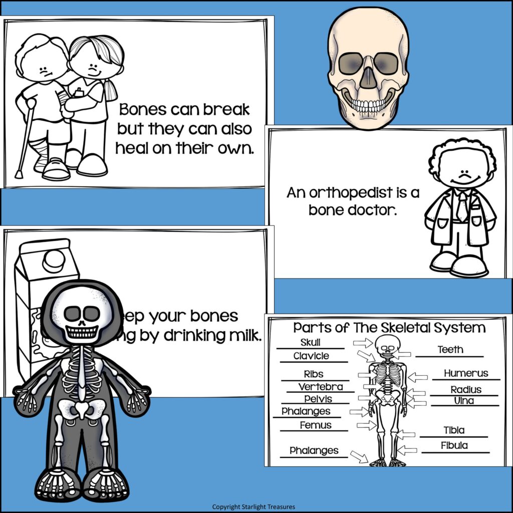 Human Body Systems: Skeletal System Mini Book for Early Readers - Made ...