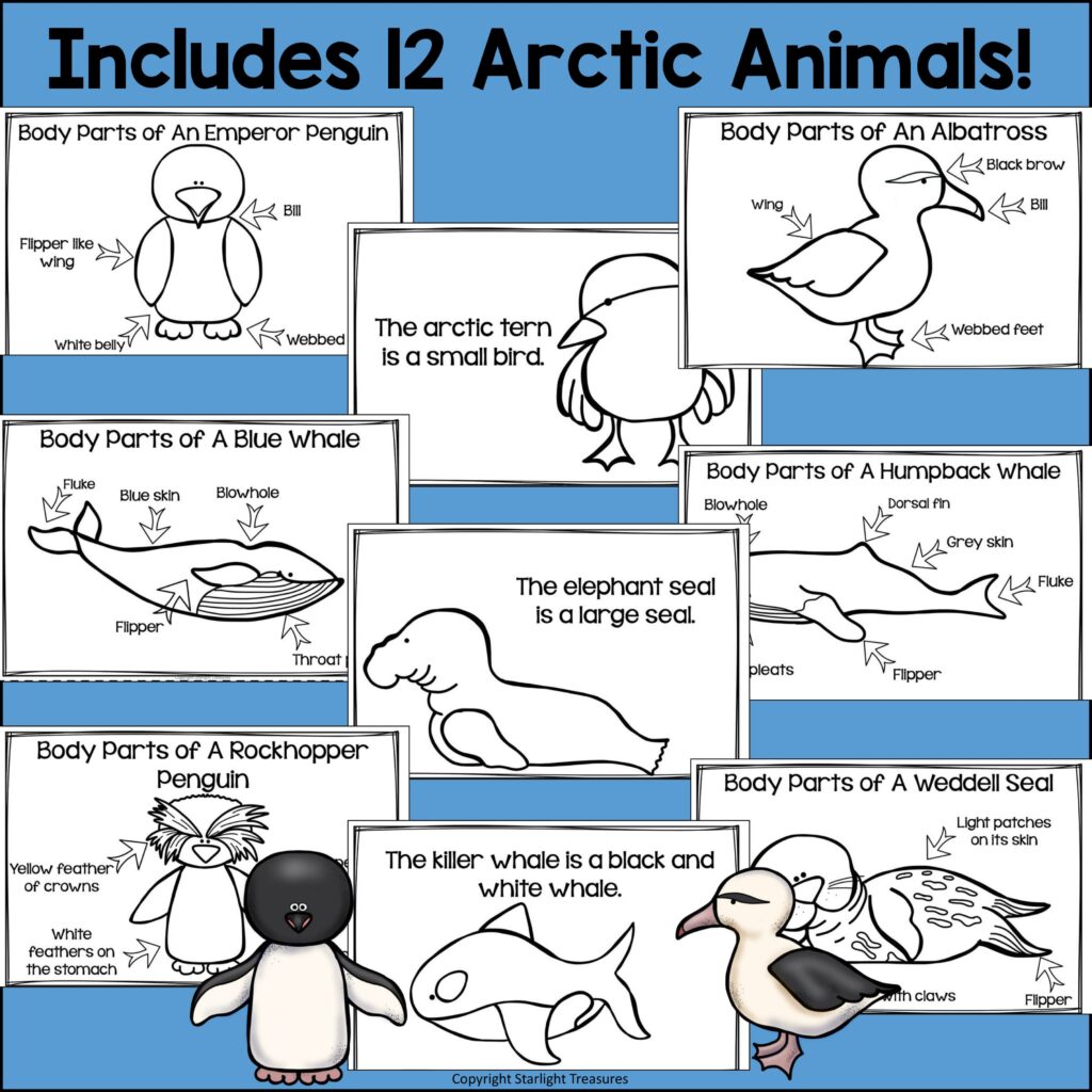 The Antarctic Mini Book for Early Readers: Antarctic Animals | Made By ...