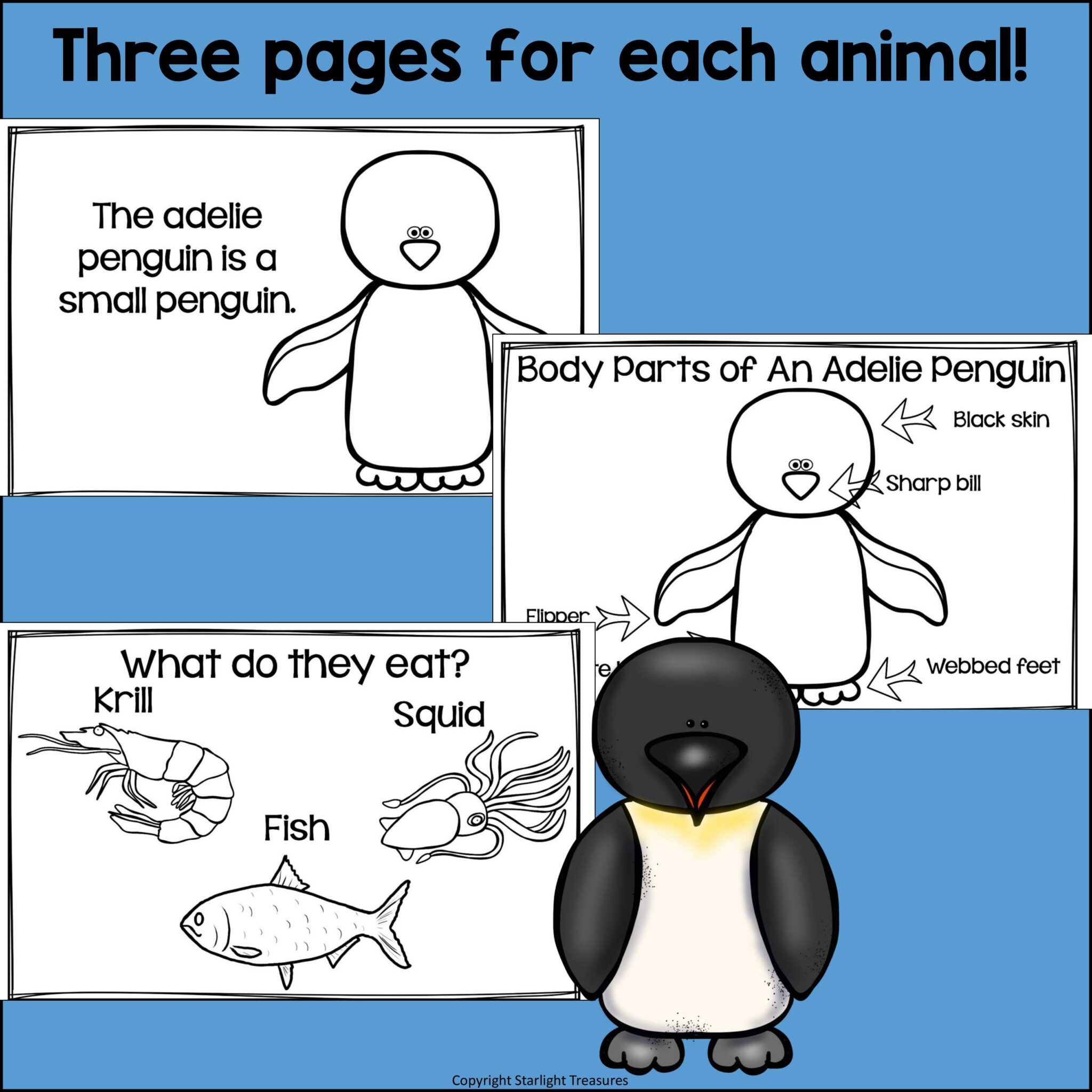The Antarctic Mini Book for Early Readers: Antarctic Animals | Made By ...