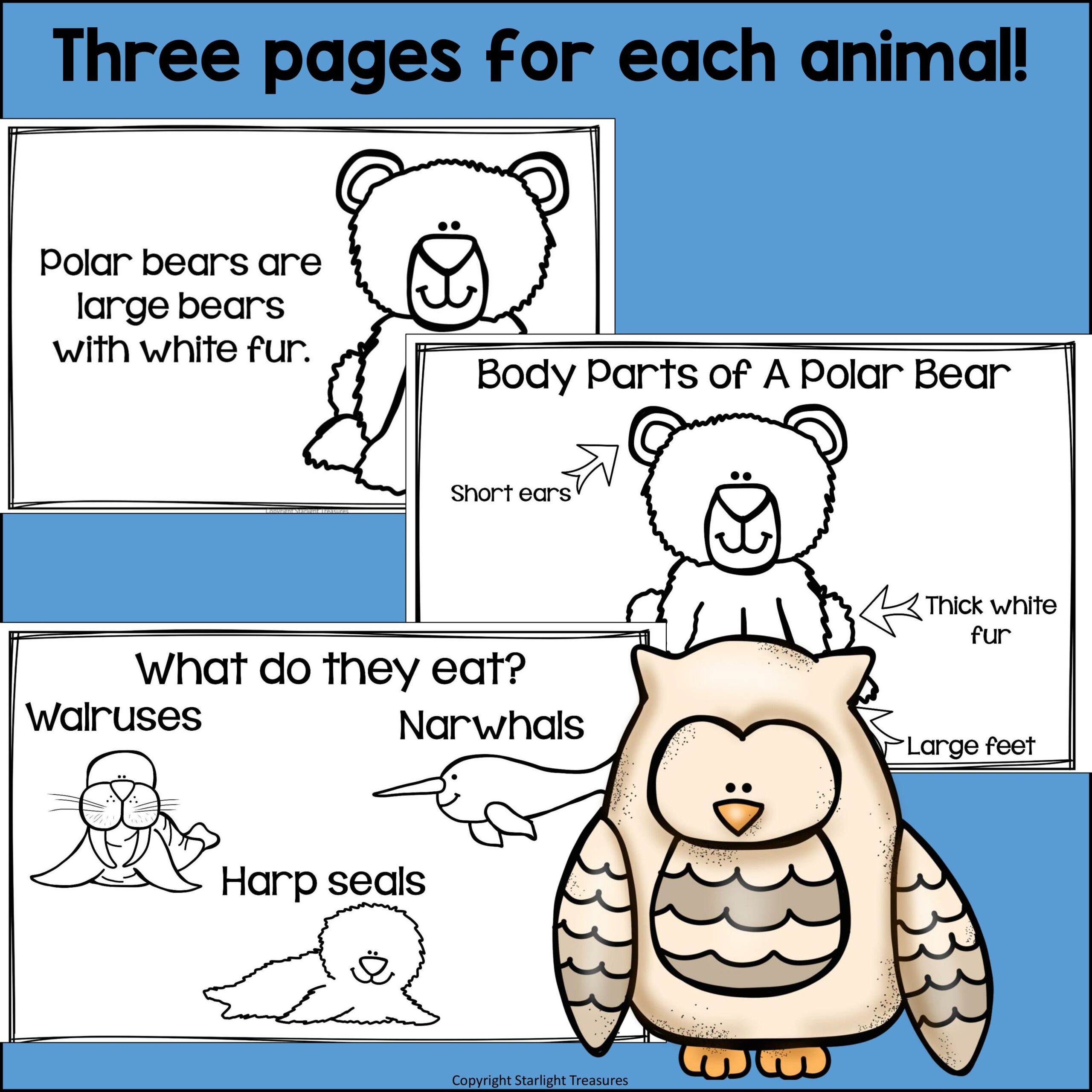 The Arctic Mini Book for Early Readers: Arctic Animals | Made By Teachers