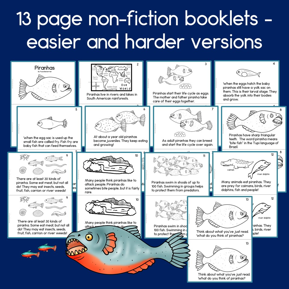 Rainforest Animals Piranhas Book Reading Comprehension and Vocabulary ...