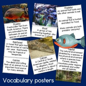 Rainforest Animals Piranhas Book Reading Comprehension and Vocabulary ...