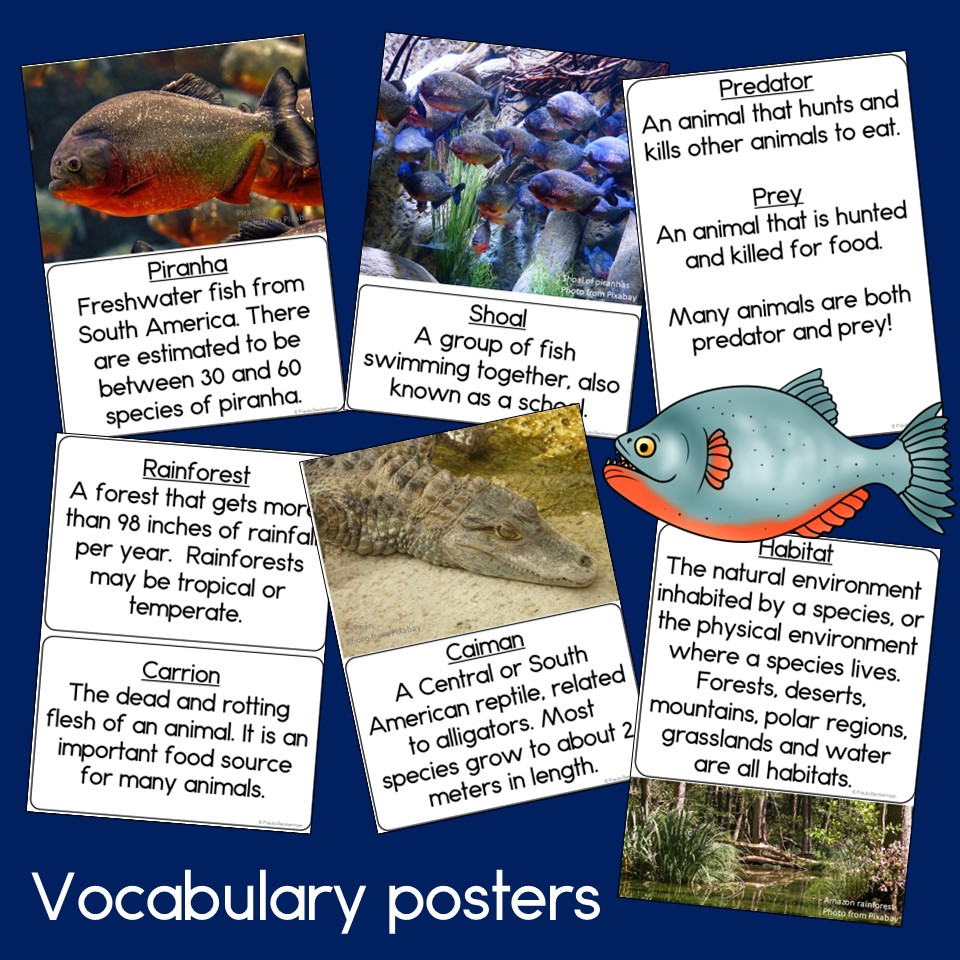 Rainforest Animals Piranhas Book Reading Comprehension and Vocabulary ...