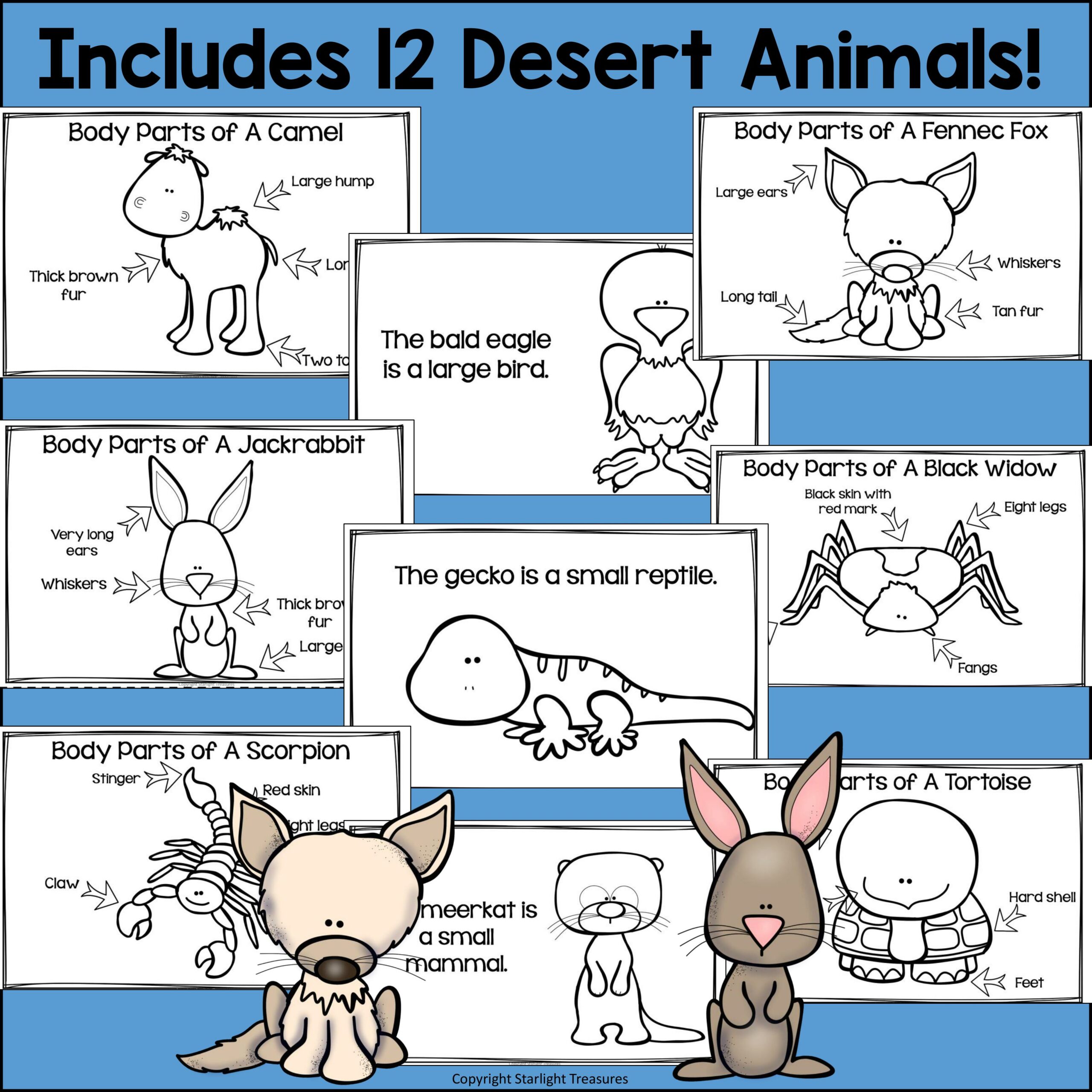 The Desert Mini Book for Early Readers: Desert Animals | Made By Teachers