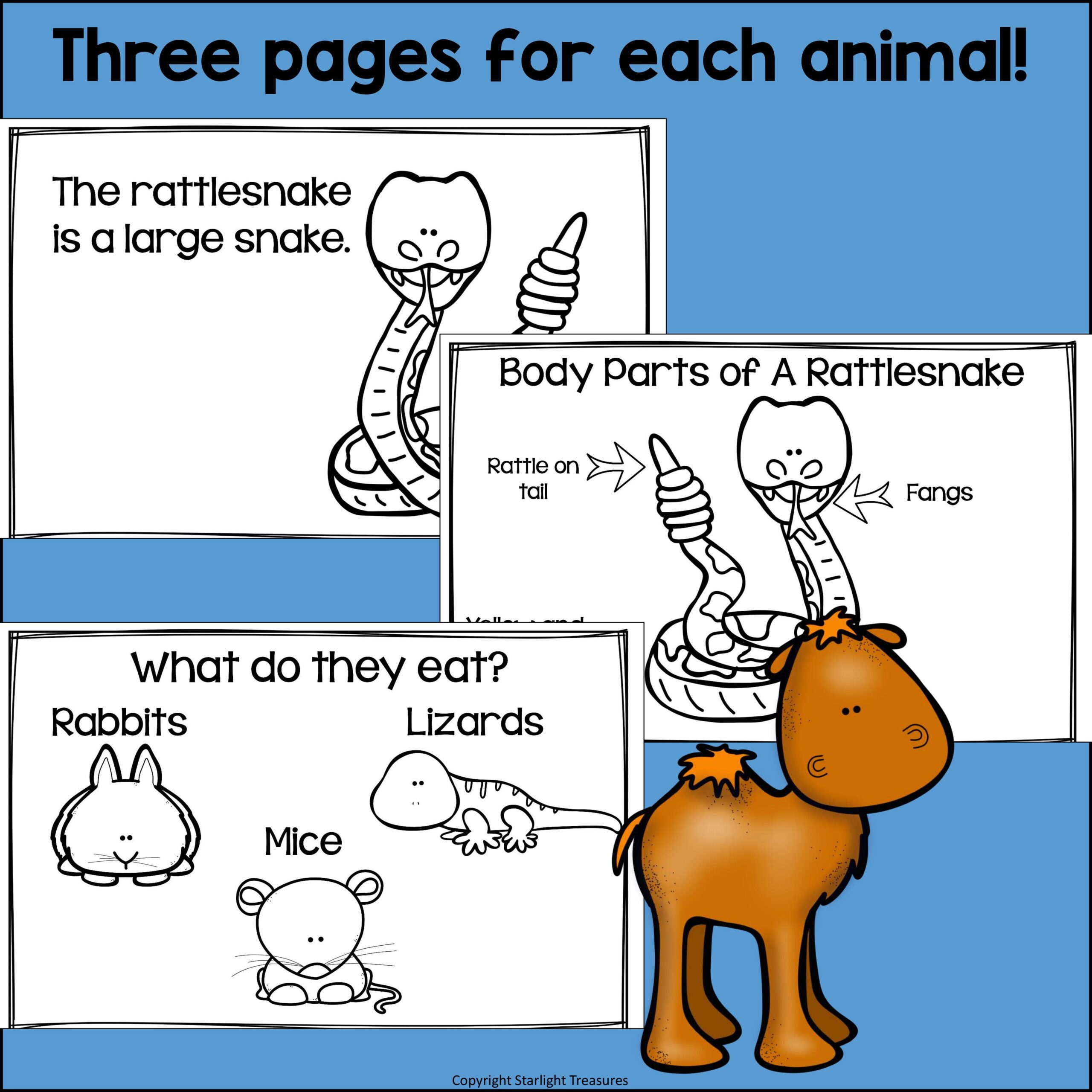 The Desert Mini Book for Early Readers: Desert Animals | Made By Teachers