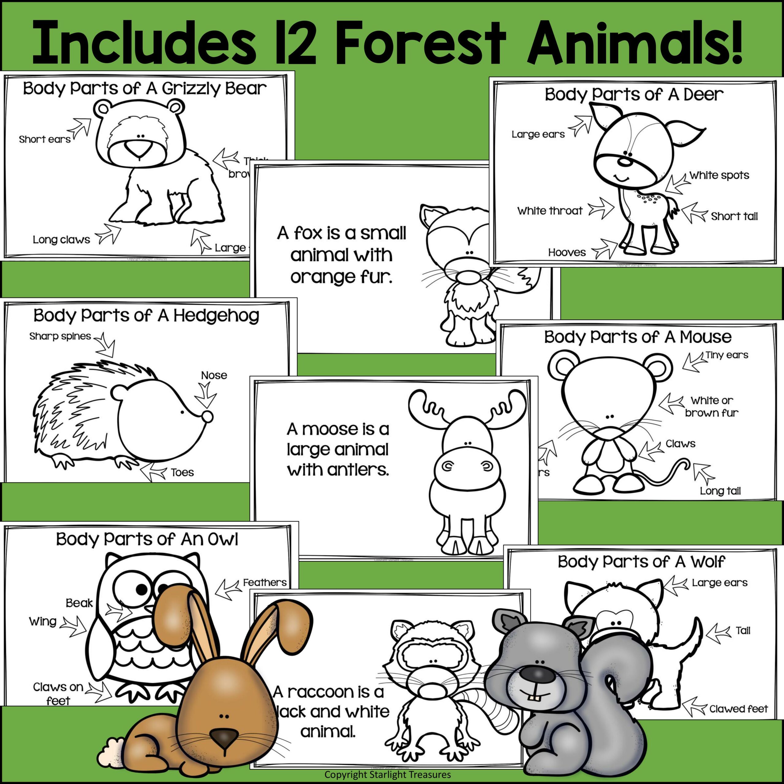 The Forest Mini Book for Early Readers: Forest Animals | Made By Teachers