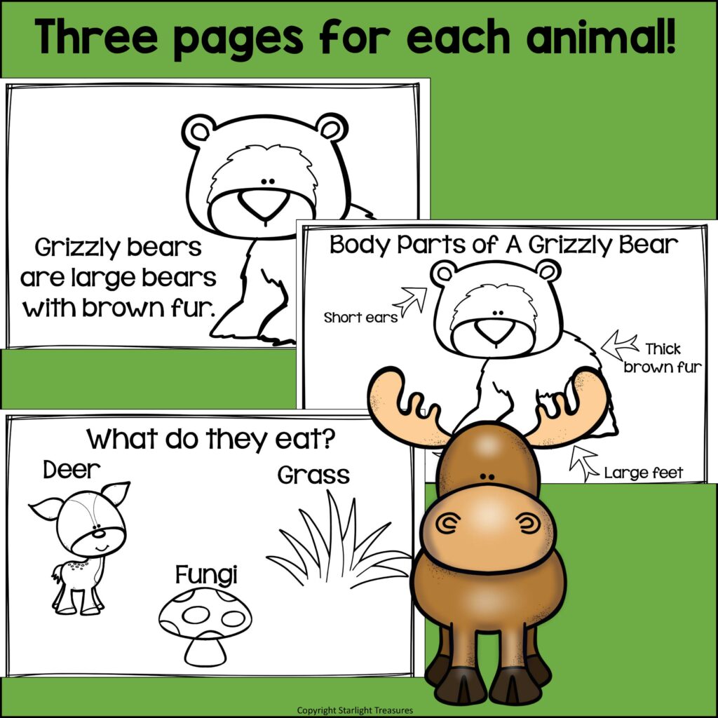 The Forest Mini Book for Early Readers: Forest Animals | Made By Teachers