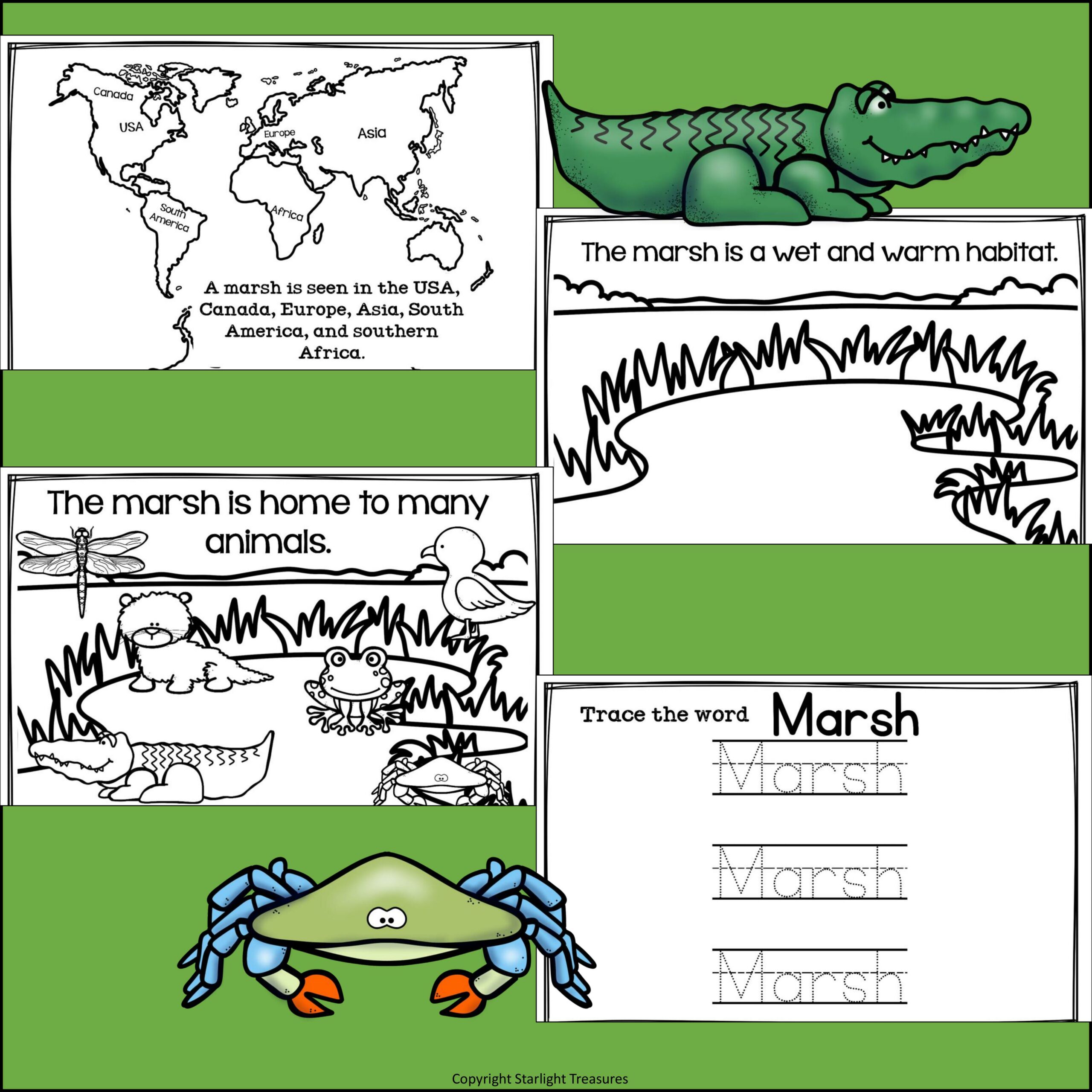 The Marsh Mini Book for Early Readers: Marsh Animals | Made By Teachers