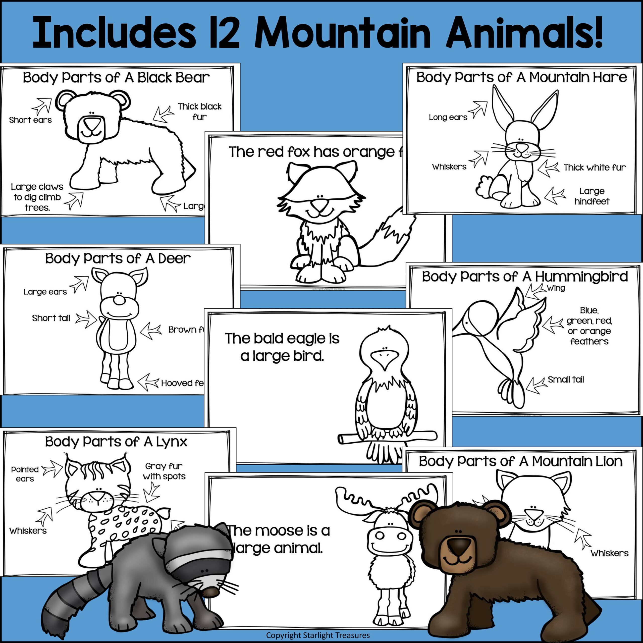 The Mountains Mini Book for Early Readers: Mountain Animals | Made By ...