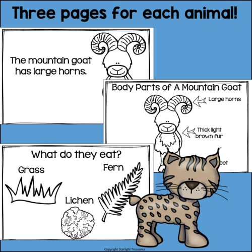 The Mountains Mini Book for Early Readers: Mountain Animals | Made By ...