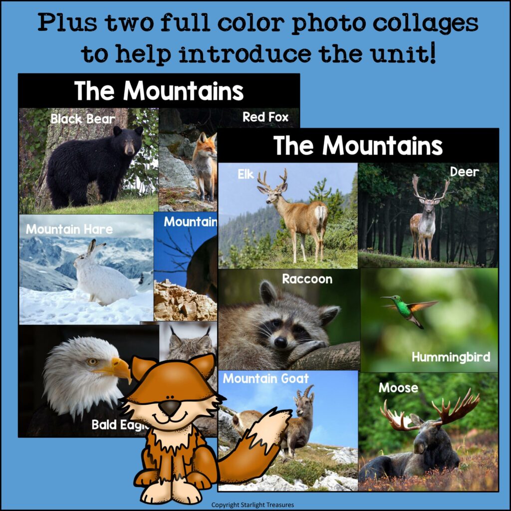 The Mountains Mini Book for Early Readers: Mountain Animals | Made By ...