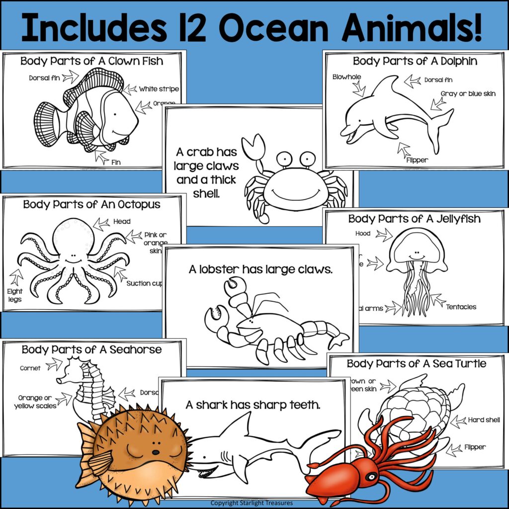The Ocean Mini Book for Early Readers: Ocean Animals | Made By Teachers
