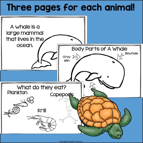The Ocean Mini Book for Early Readers: Ocean Animals | Made By Teachers