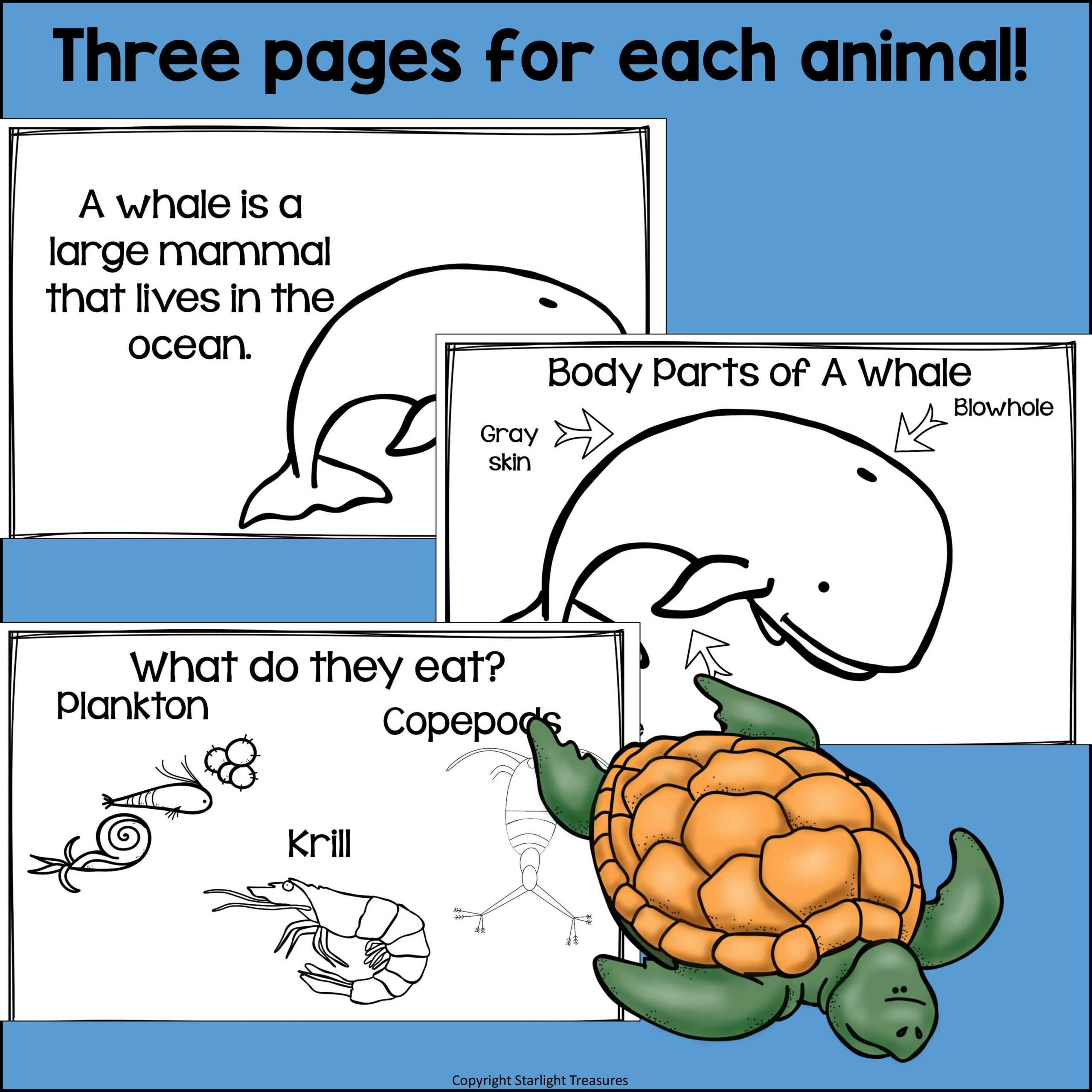 The Ocean Mini Book for Early Readers: Ocean Animals | Made By Teachers