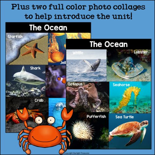 The Ocean Mini Book for Early Readers: Ocean Animals | Made By Teachers