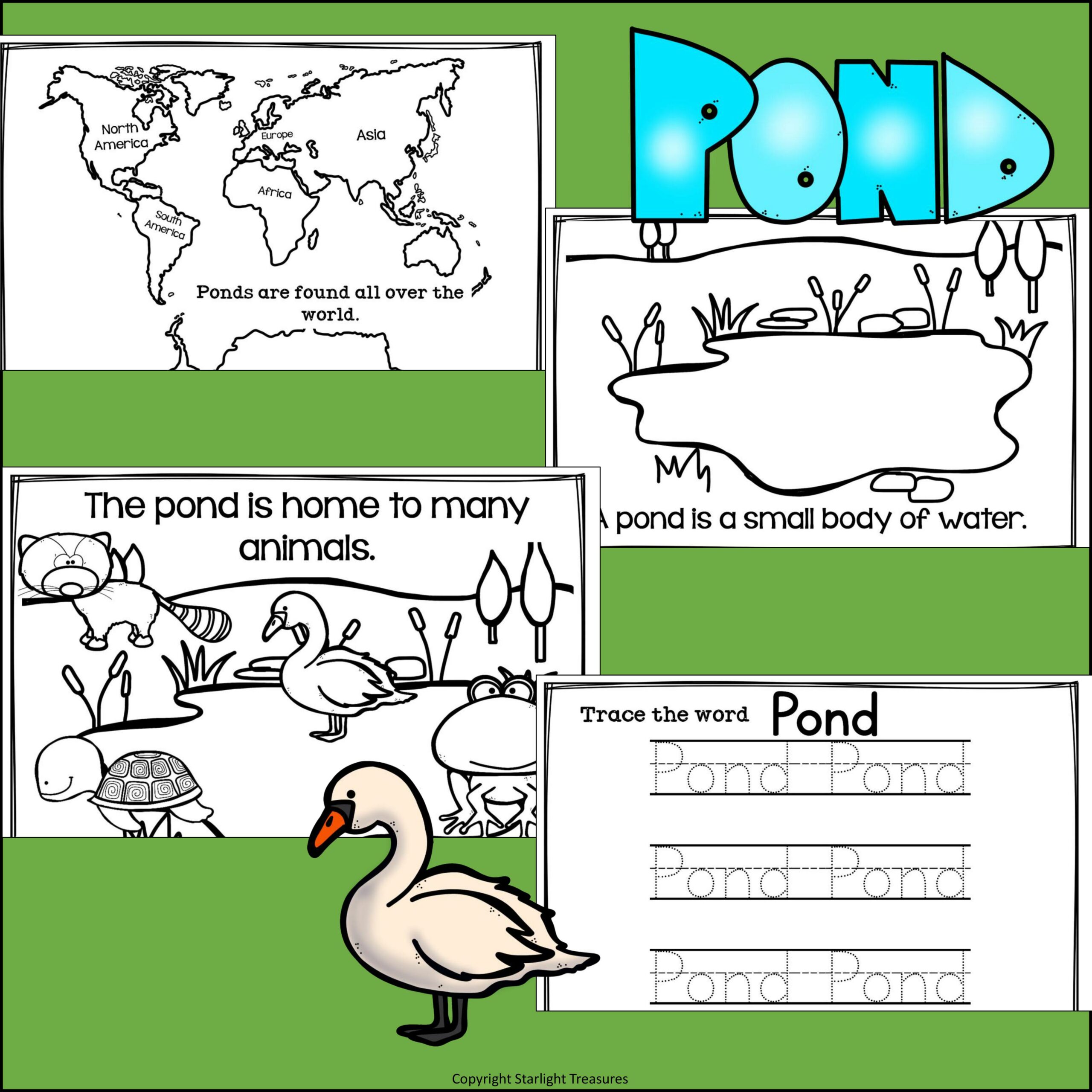 The Pond Mini Book for Early Readers: Pond Animals | Made By Teachers