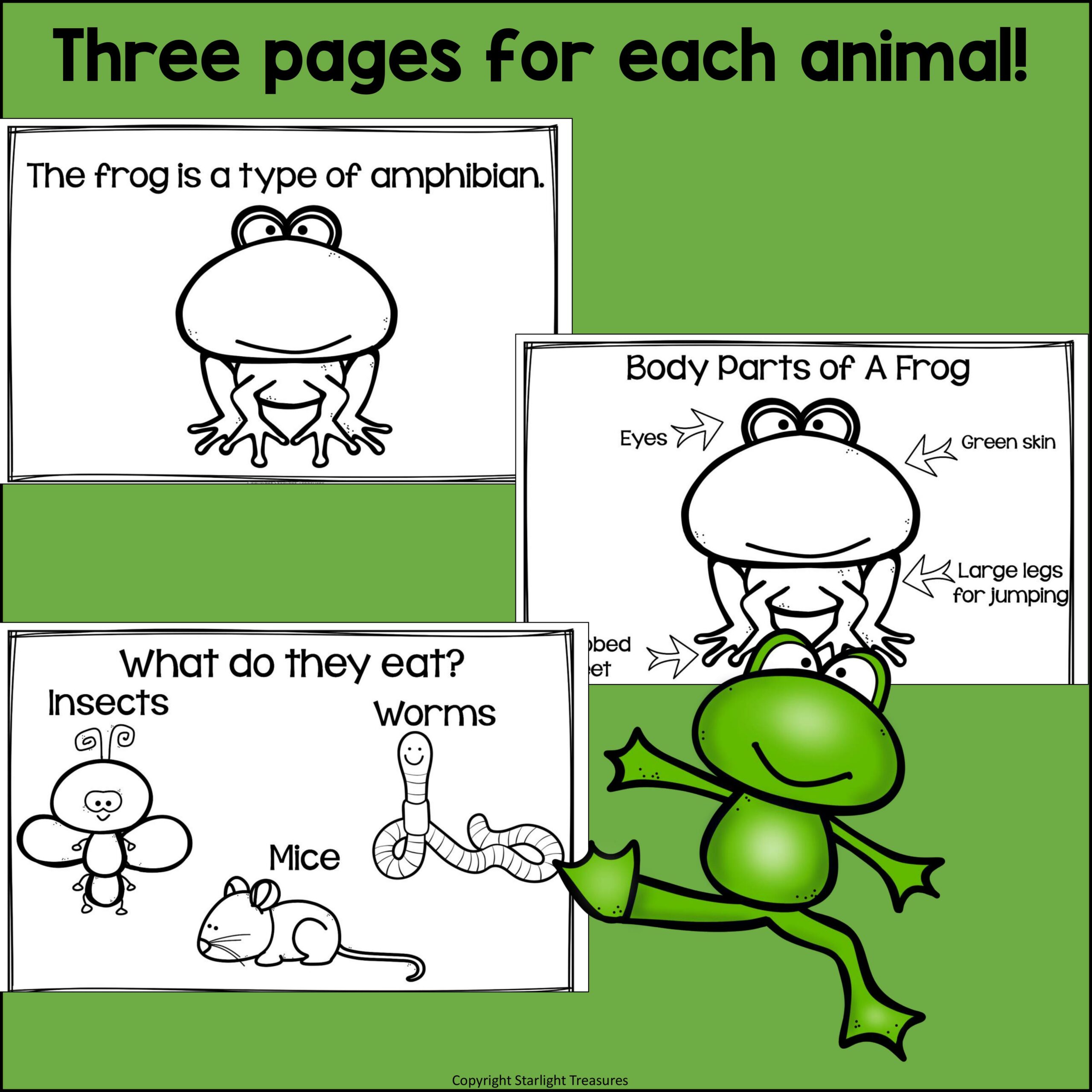 The Pond Mini Book for Early Readers: Pond Animals | Made By Teachers
