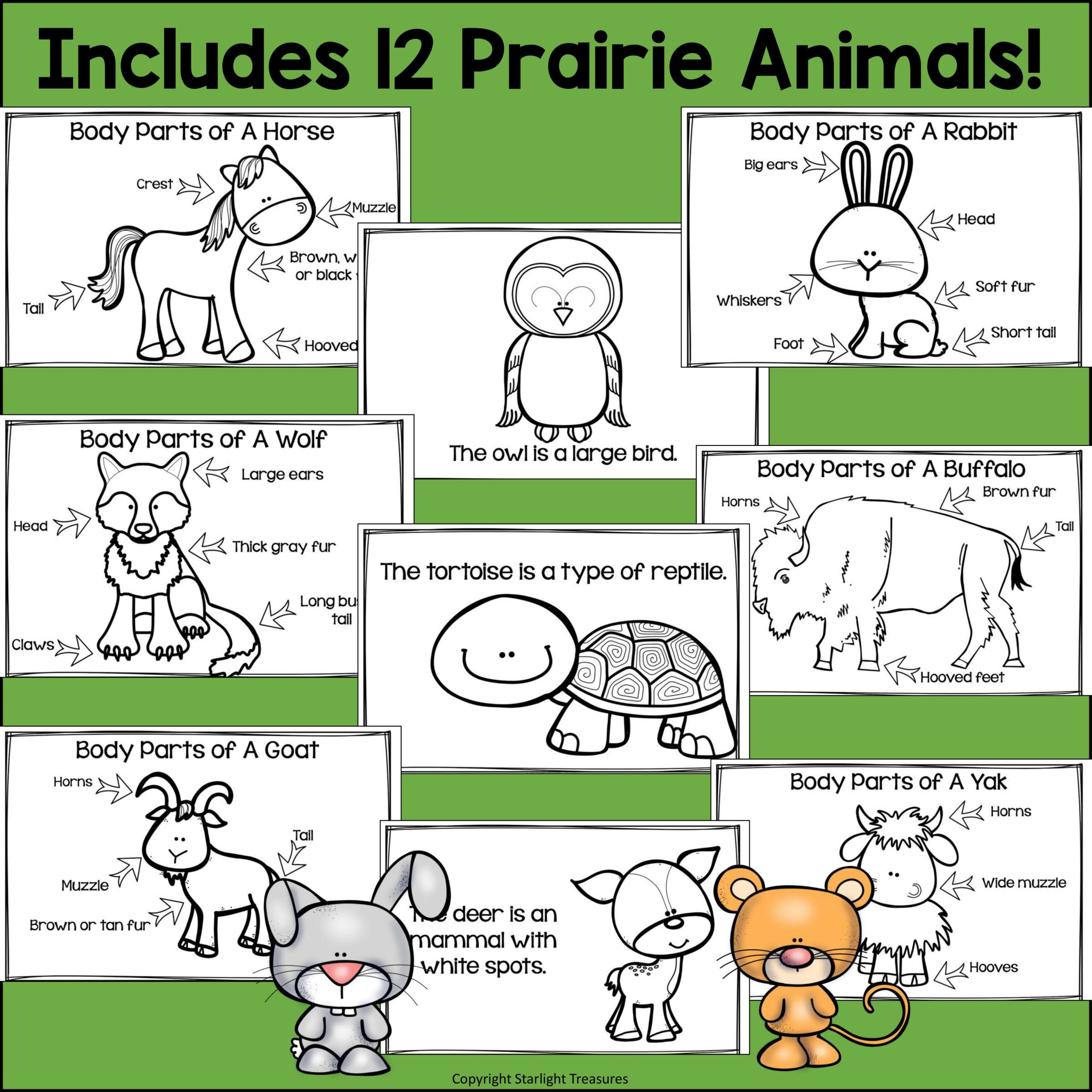 The Prairie Mini Book for Early Readers: Prairie Animals | Made By Teachers
