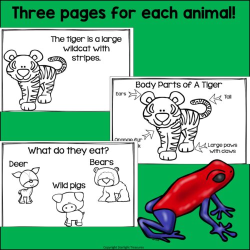 The Rainforest Mini Book for Early Readers: Rainforest Animals | Made ...