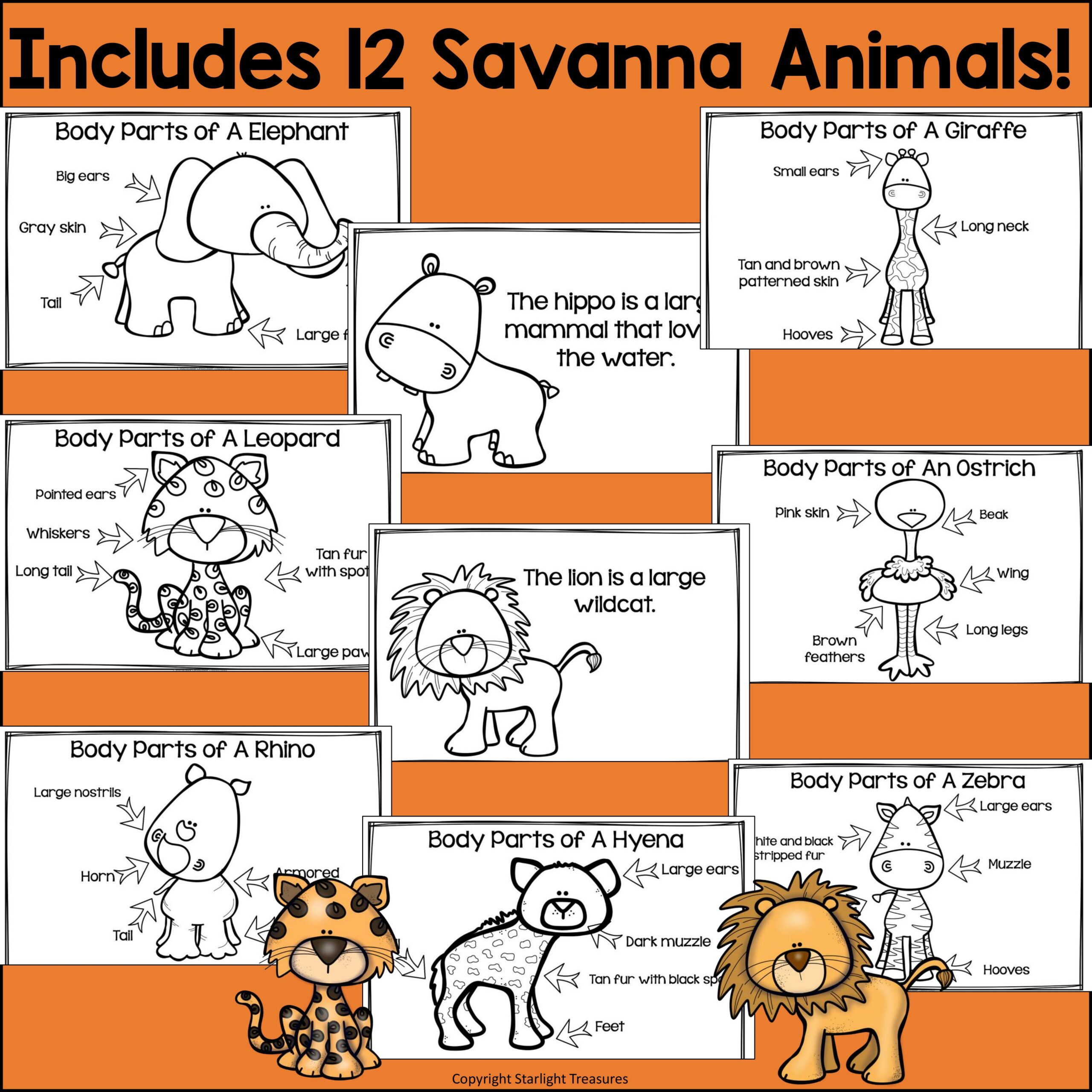 The Savanna Mini Book for Early Readers: Savanna Animals | Made By Teachers