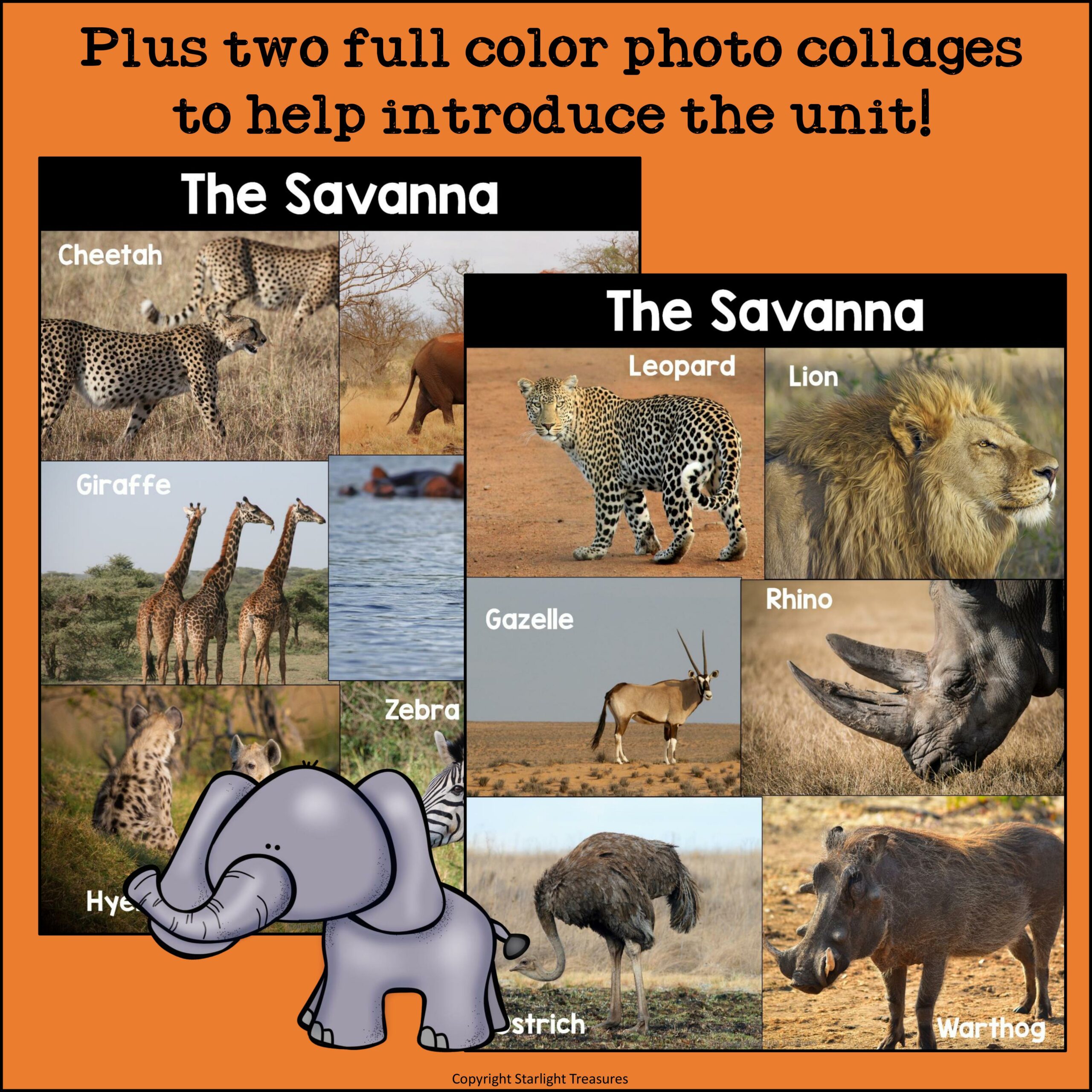 The Savanna Mini Book for Early Readers: Savanna Animals | Made By Teachers