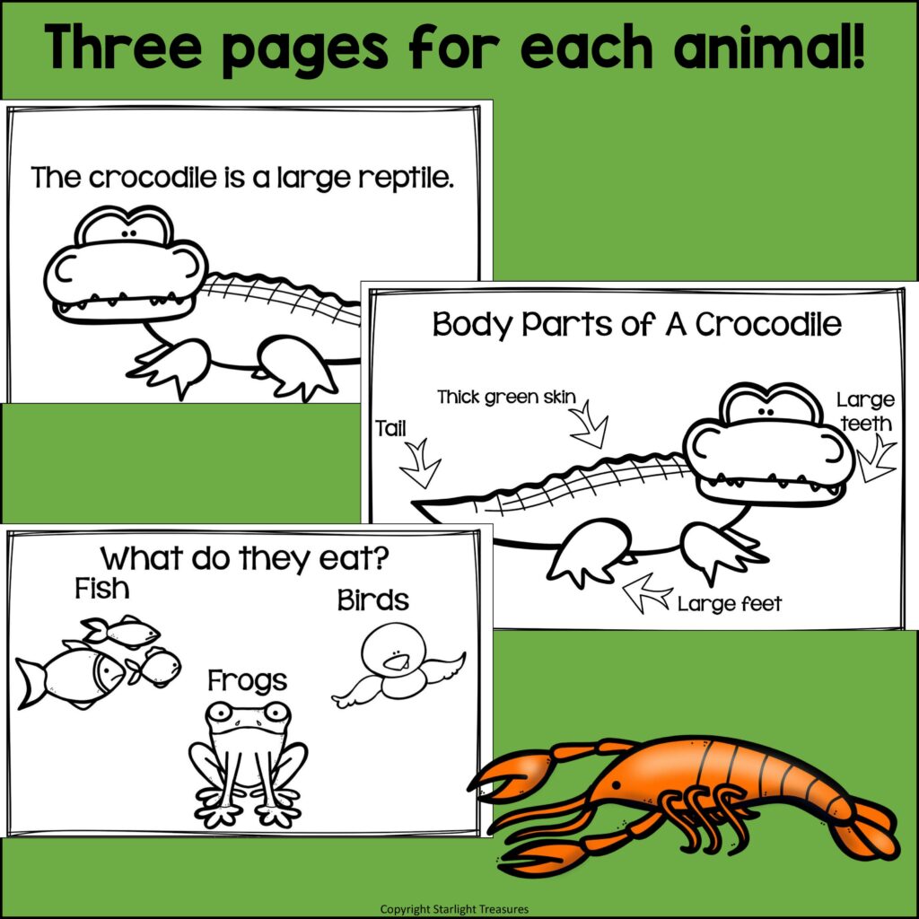 The Swamp Mini Book for Early Readers: Swamp Animals | Made By Teachers