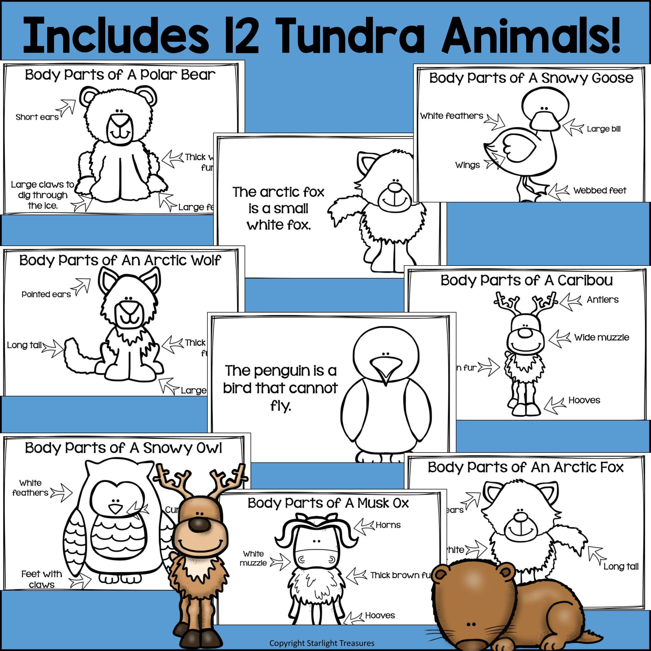 The Tundra Mini Book for Early Readers: Tundra Animals | Made By Teachers