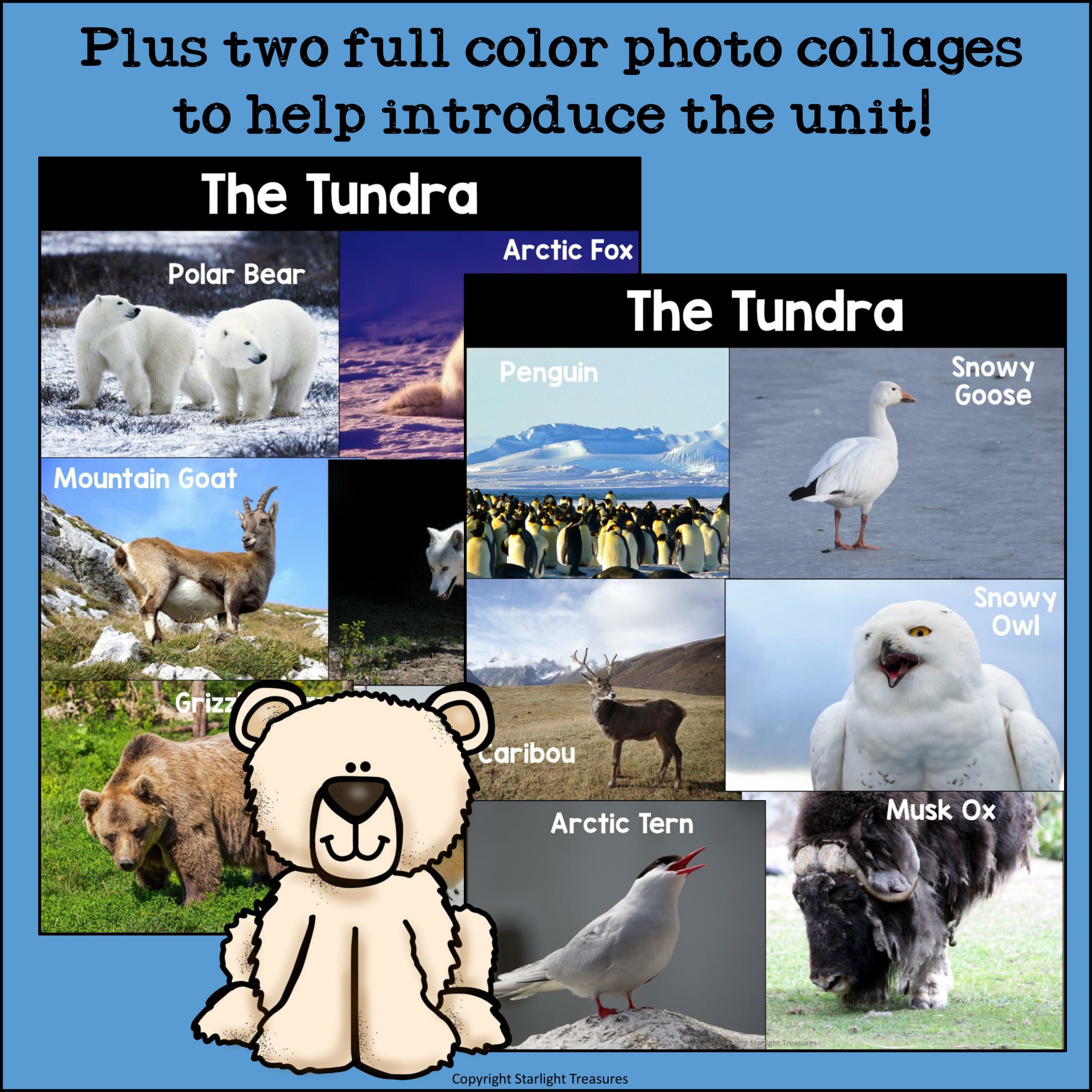 The Tundra Mini Book for Early Readers: Tundra Animals | Made By Teachers