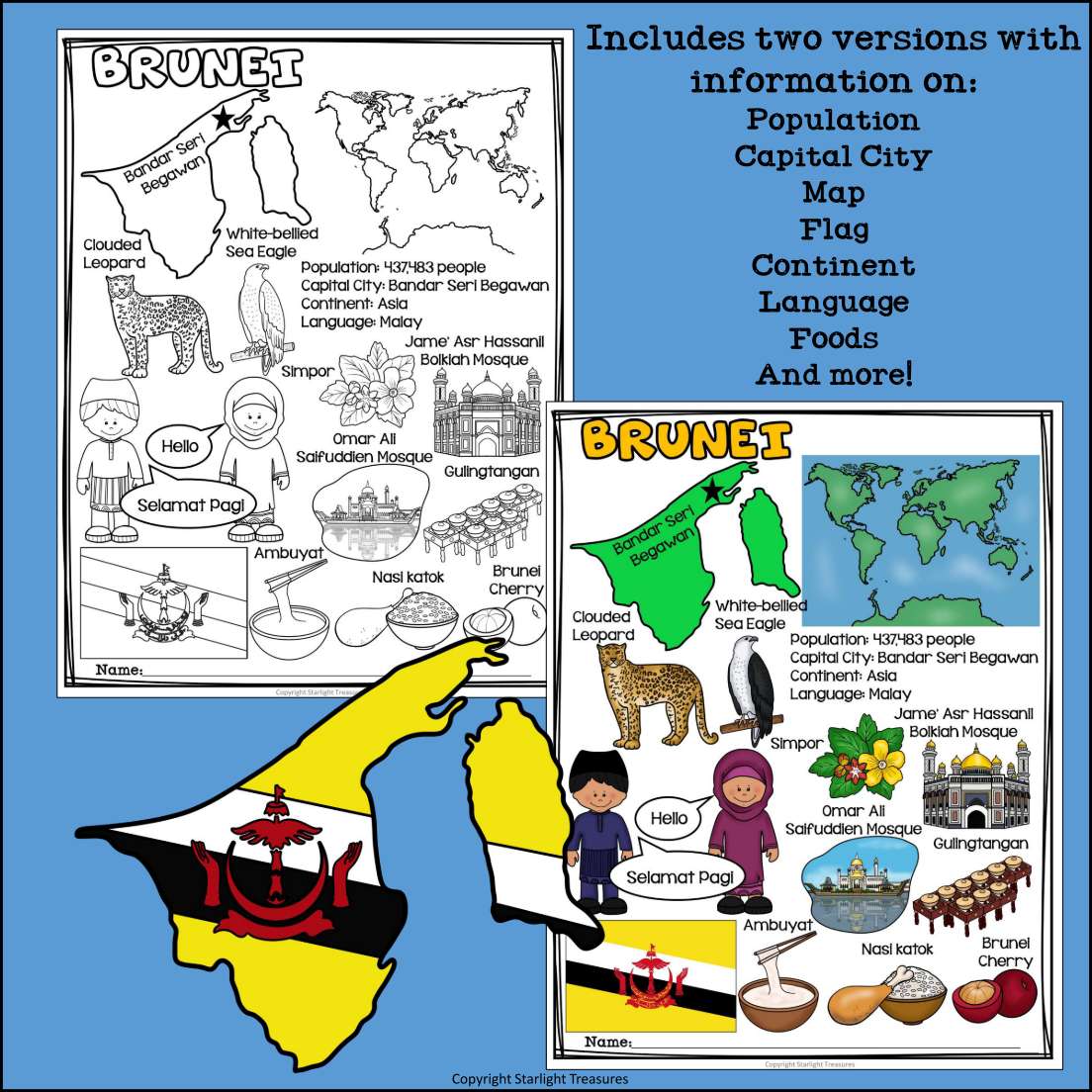 Brunei Fact Sheet for Early Readers | Made By Teachers