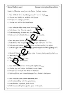 "Nate the Great Goes Undercover" worksheets | Made By Teachers