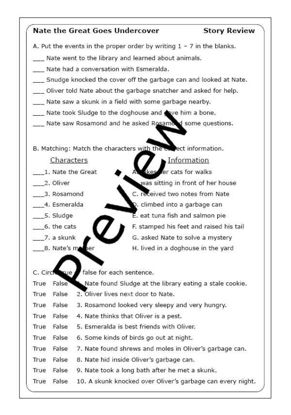 "Nate the Great Goes Undercover" worksheets | Made By Teachers