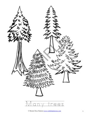 Meet the Native Americans of the Northwest Coast Coloring Book-Level A ...