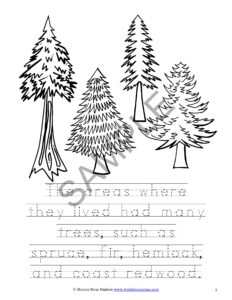 Meet the Native Americans of the Northwest Coast Coloring Book-Level B ...