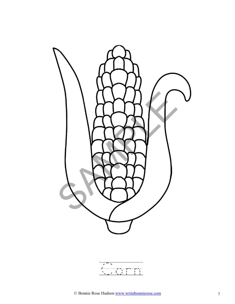 Meet the Native Americans of the Southwest Coloring Book-Level A | Made ...