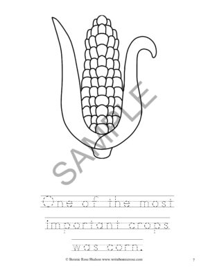 Meet the Native Americans of the Southwest Coloring Book-Level B | Made ...