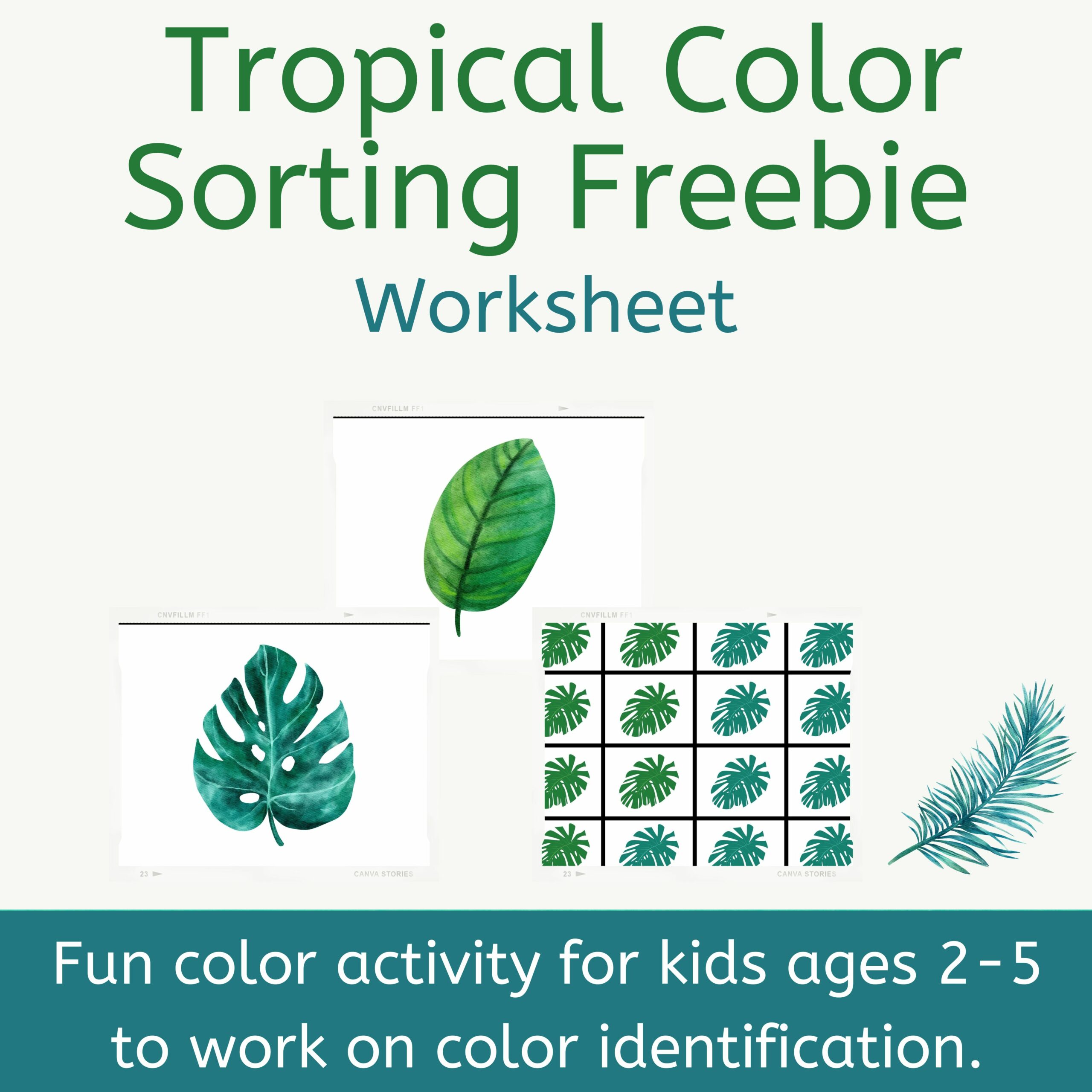 Tropical Color Sorting PreK Worksheet No Prep | Made By Teachers