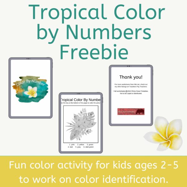 Tropical Color by Number PreK Worksheet No Prep | Made By Teachers