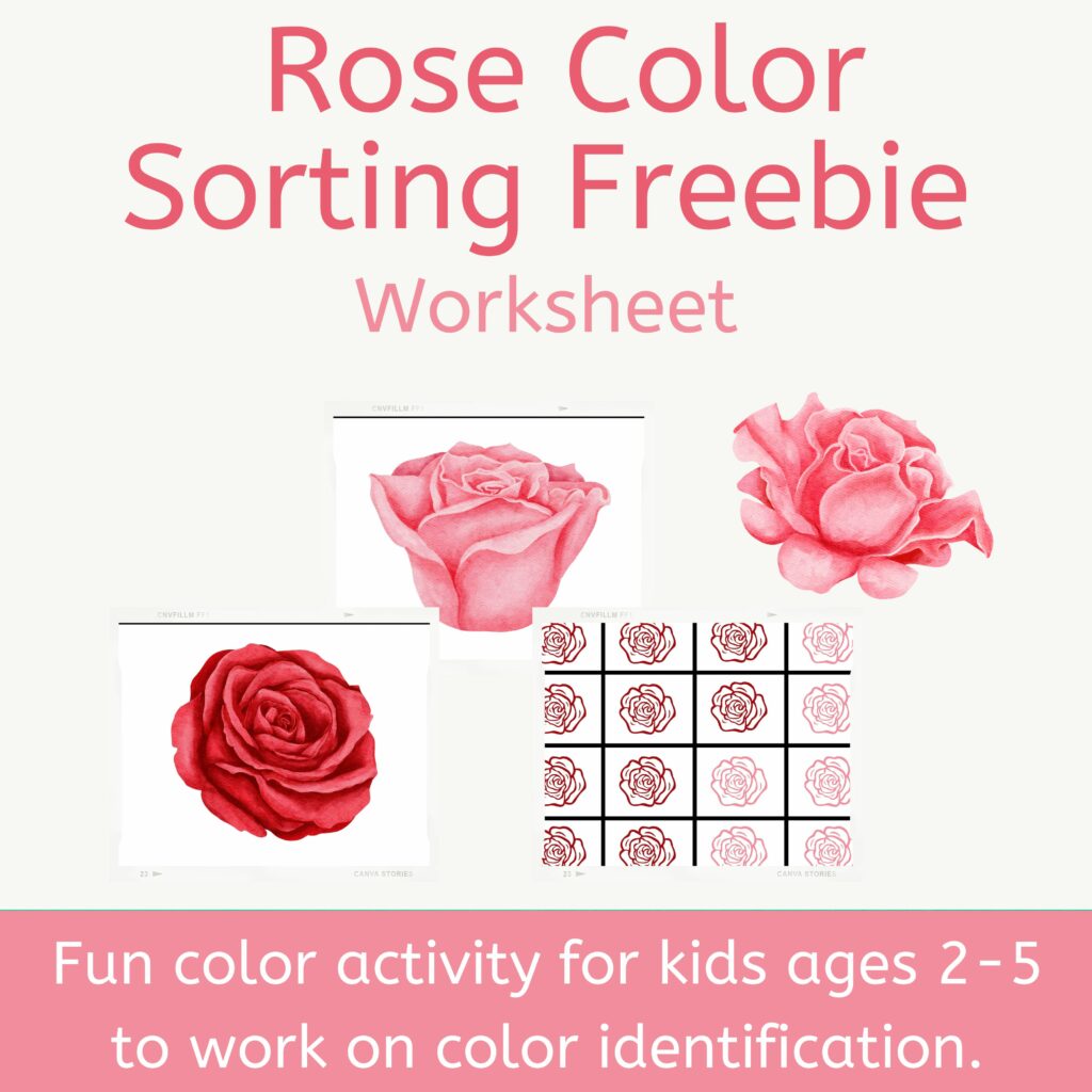 Rose Color Sorting PreK Worksheet No Prep Freebie | Made By Teachers