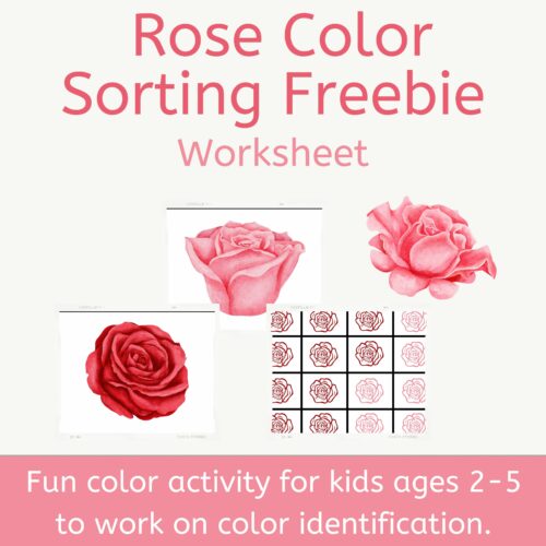 Rose Color Sorting PreK Worksheet No Prep Freebie | Made By Teachers