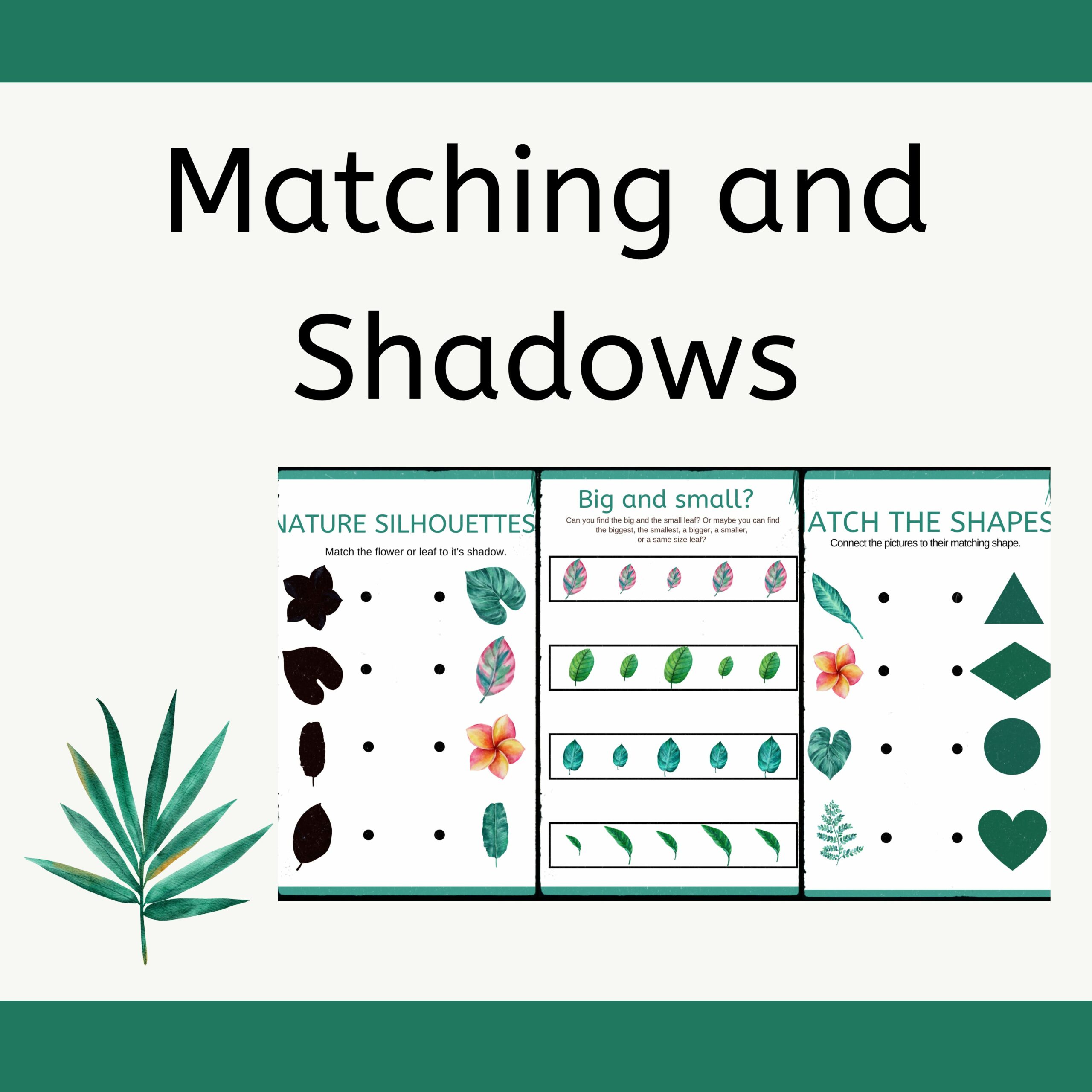 Tropical PreK No Prep Morning Work Worksheets with Leaves and Plumeria ...